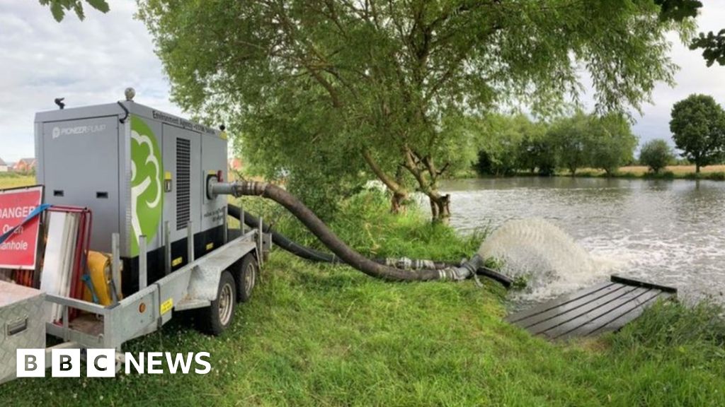 River Mole: Environment Agency investigates after dead fish found - BBC ...