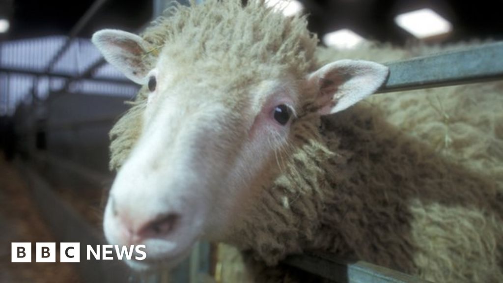 This week in history: 29 June - 5 July - BBC News