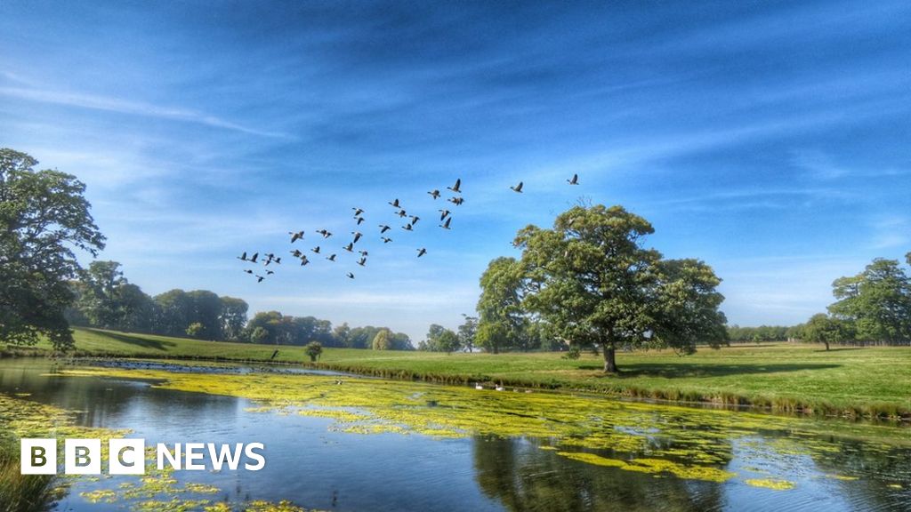 England's Big Picture: 28 September - 4 October 2015 - BBC News