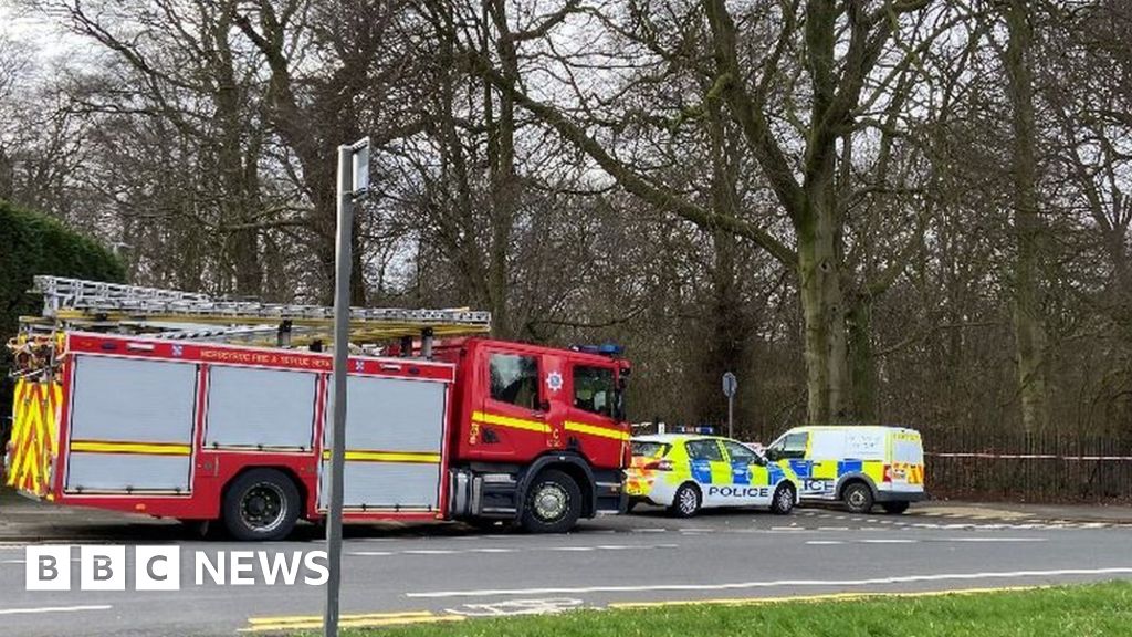 Dog walker killed by falling tree branch in Liverpool