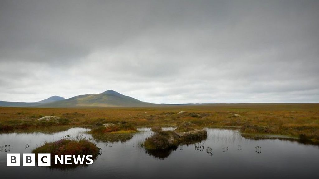 The forgotten bog fighting climate change