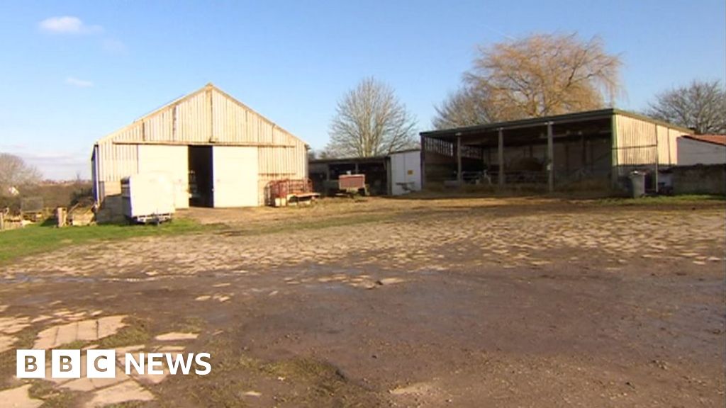 Bristol: Hartcliffe Community Farm handed to new tenants - BBC News