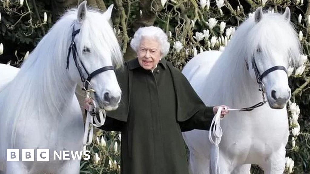 Queen Elizabeth II: Fell Pony Society celebrates royal patron - BBC News