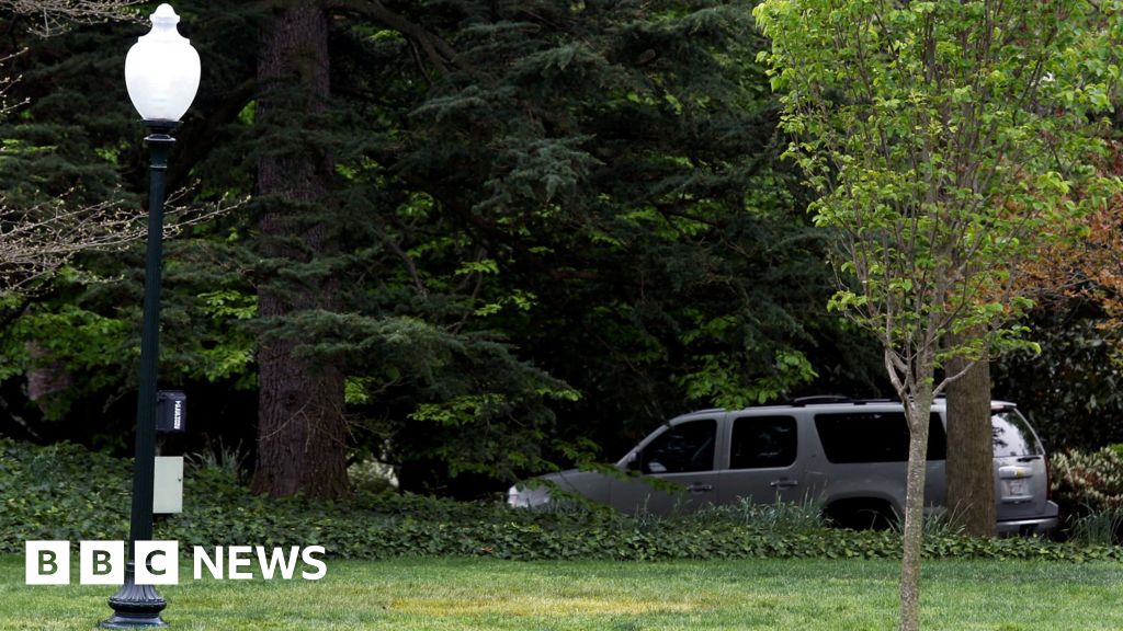 White House tree: Emmanuel Macron's sapling disappears - BBC News