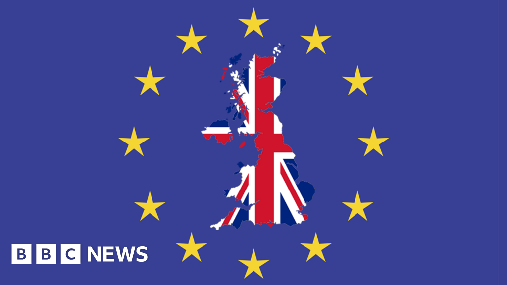 'No-one understands what hard or soft Brexit mean' - BBC News