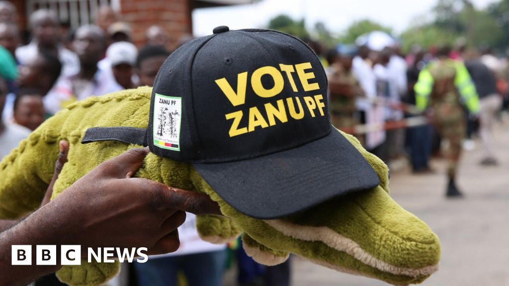 Zanu-PF purges itself to win back Zimbabweans' trust - BBC News