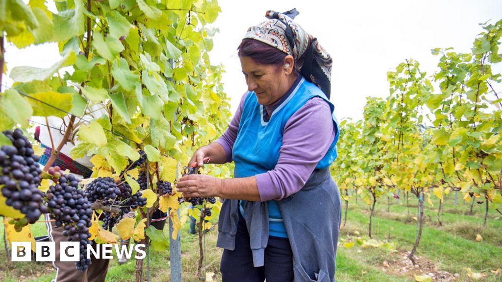 Migrant workers send home £8bn to families - BBC News