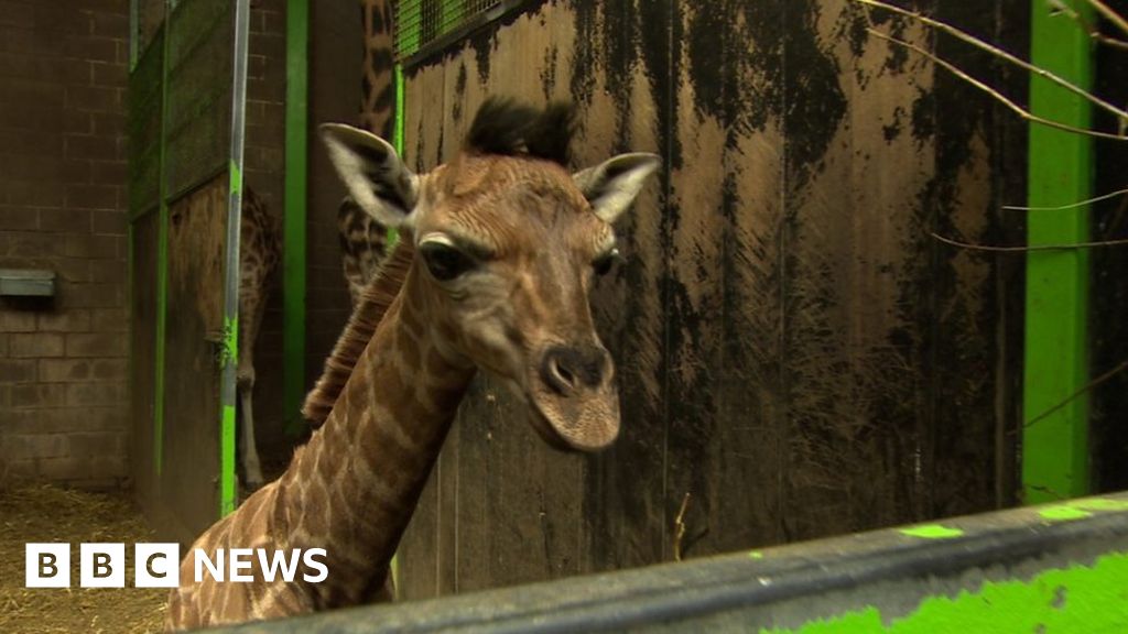 'Little Henry is really cute and nice'