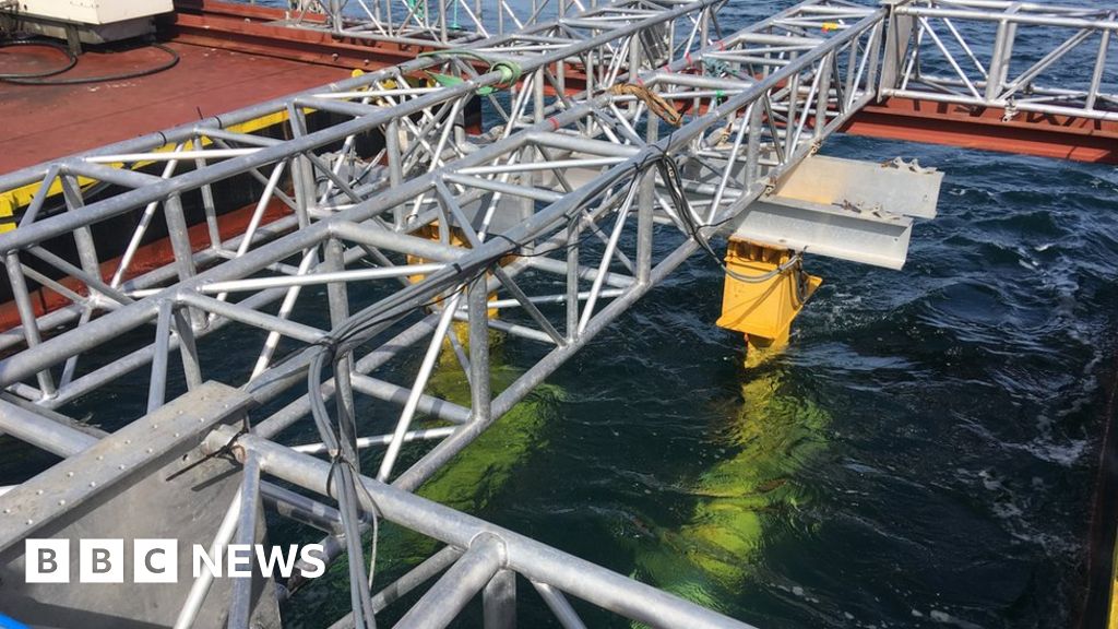 Strangford Lough's pioneering sustainable energy research - BBC News