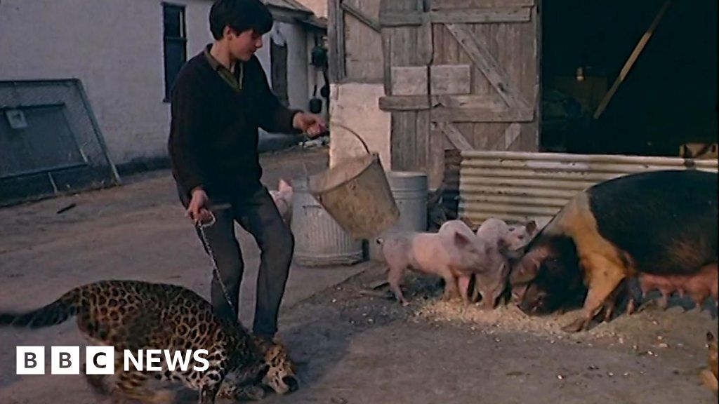 Southam Zoo: Where animals were reared as pets