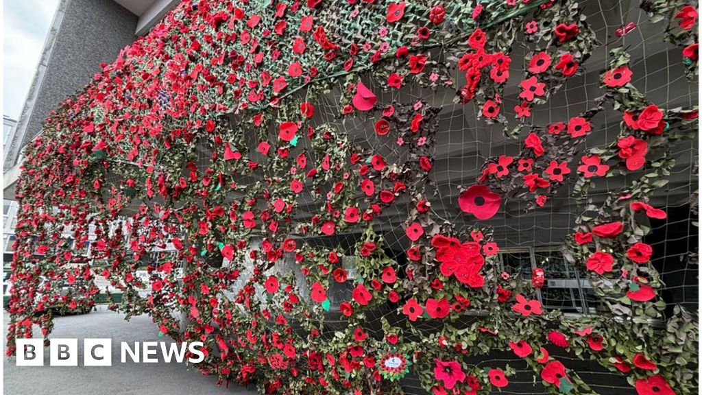 Poppies on display for Remembrance Sunday - BBC News