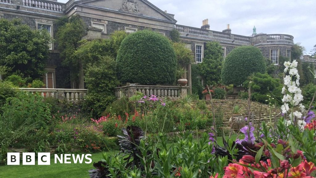 Mount Stewart: More than 100 acres of estate now open to the public ...