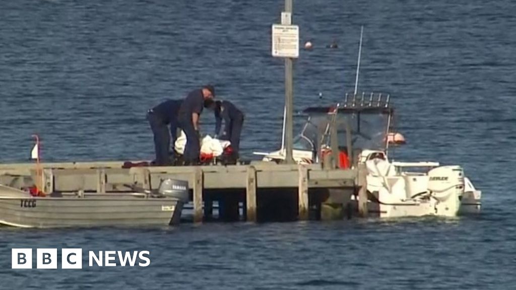 Shark kills diver in front of daughter off Tasmanian coast - BBC News