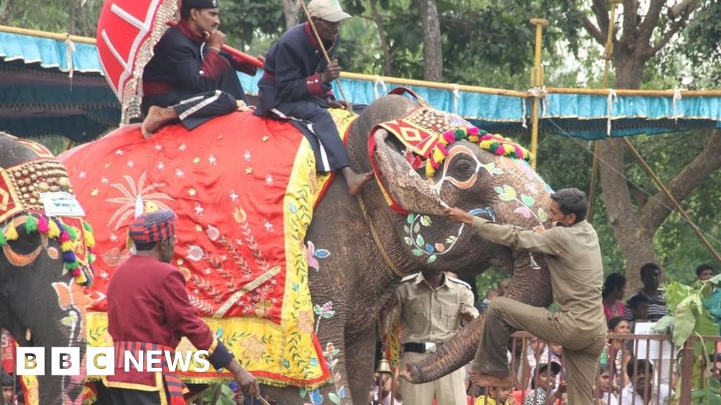 India mourns one of its oldest elephants, Indira - BBC News
