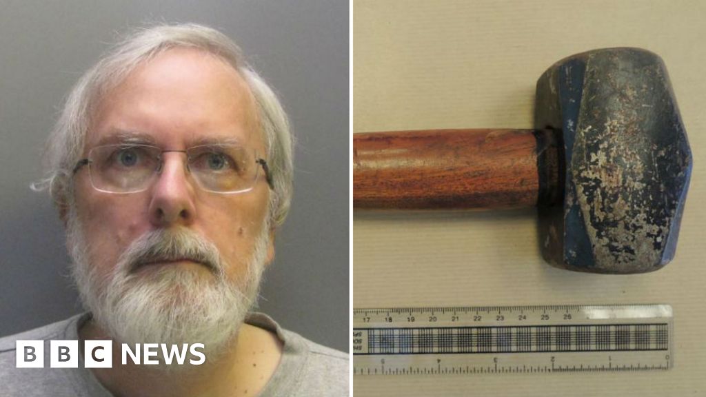 Hammer attack man tried to murder Cambridge lecturer wife - BBC News