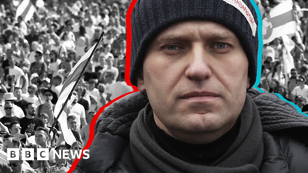 Alexei Navalny: what you need to know - BBC News
