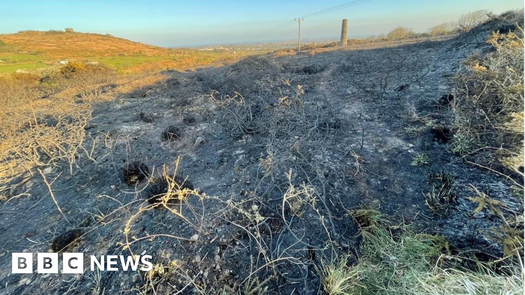 Redruth gorse fire 'fanned by high winds' - BBC News