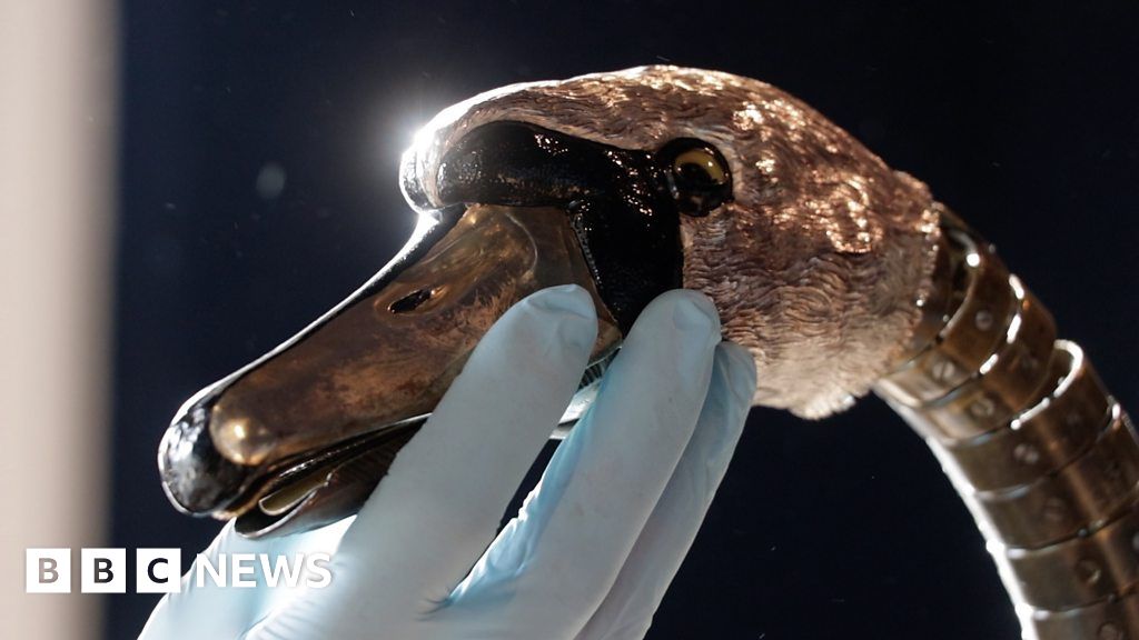 Bowes Museum's Silver Swan automaton restored for 250th anniversary ...