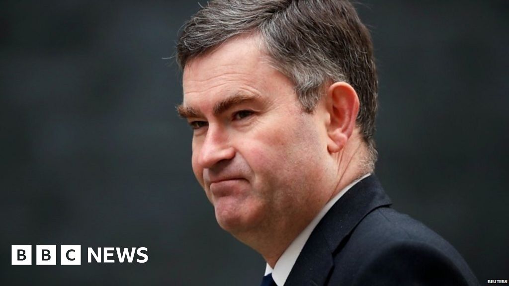 David Gauke: Government wants to 'purge' Tory rebels - BBC News