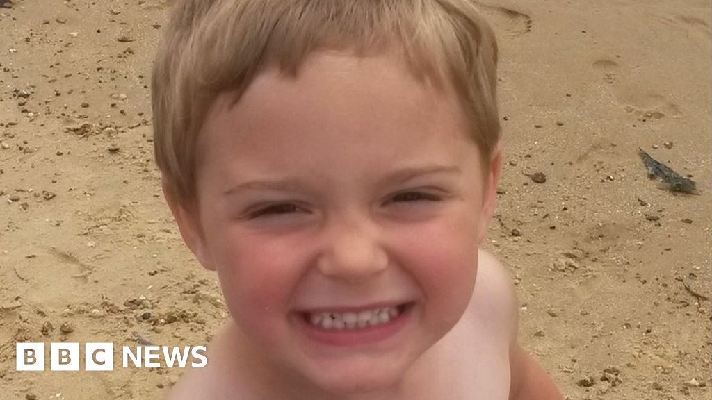 Dexter Neal dog death: Halstead woman pleads guilty - BBC News