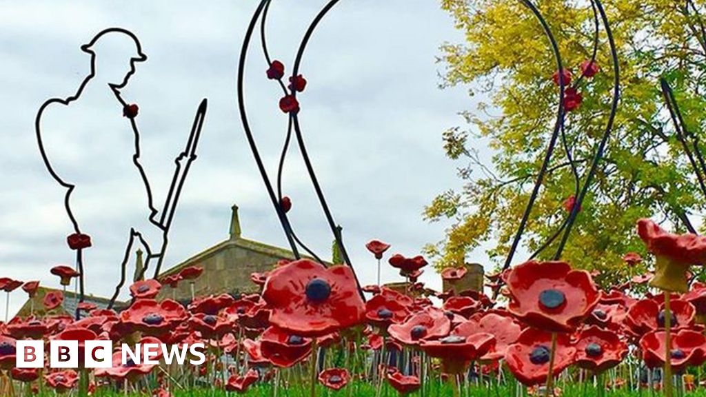 Prince Harry 'proud' of Rutland's poppy WW1 tribute