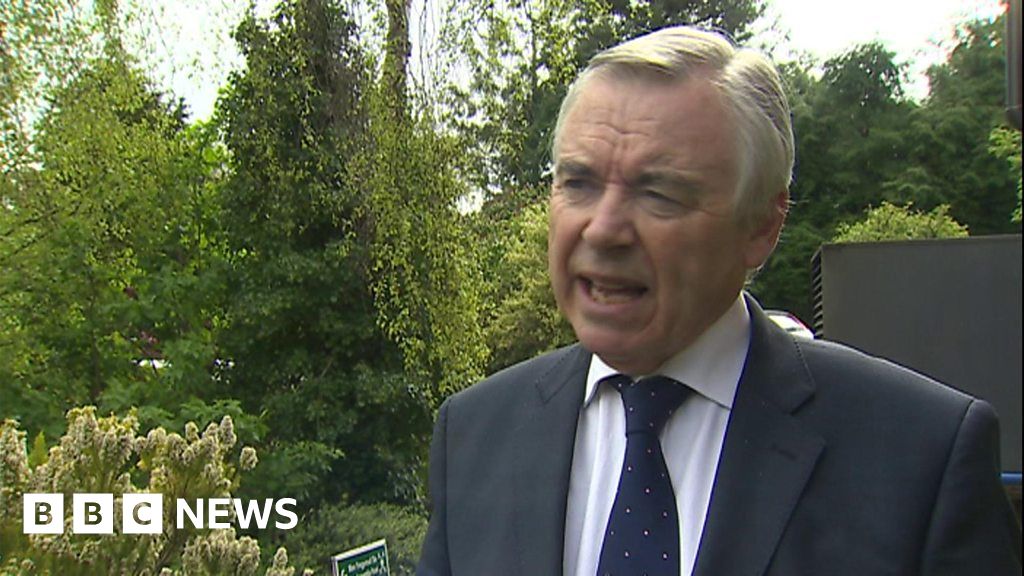 General election: Ex-Plaid leader to 'take the fight on' - BBC News