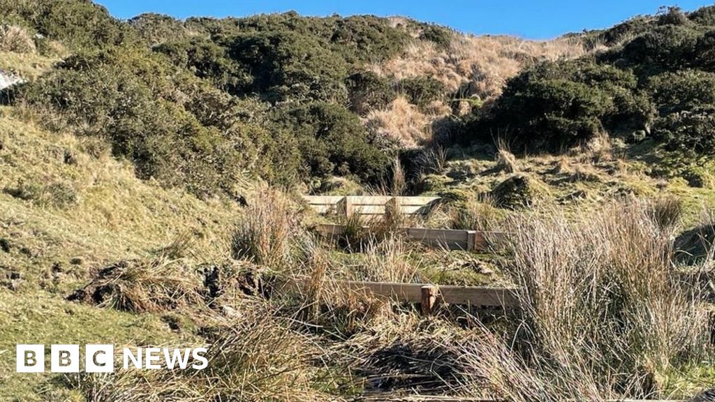 Environmental artists begin Dartmoor moss-growing project - BBC News