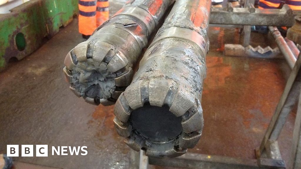 Drillers find ancient Antarctic forest evidence - BBC News