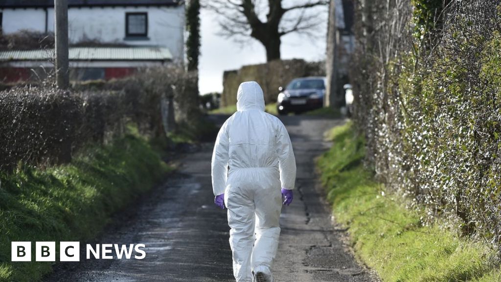 Larne: Police wait to question mother over fatal stabbing - BBC News