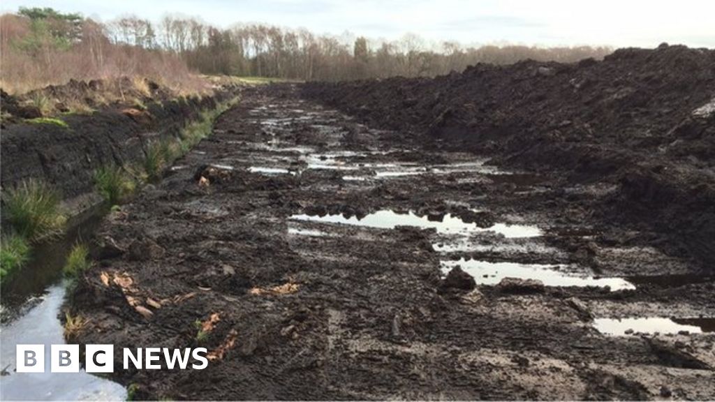 Lindow Moss: Calls for investigation into sinking Cheshire bog - BBC News