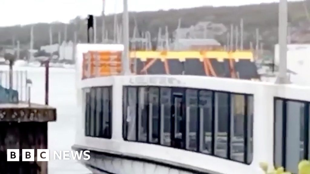 Cowes Floating Bridge: Ferry crashes on return from inspection - BBC News