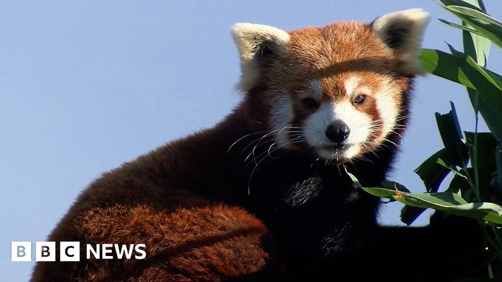 Sparsholt College launches welfare centre for animals - BBC News