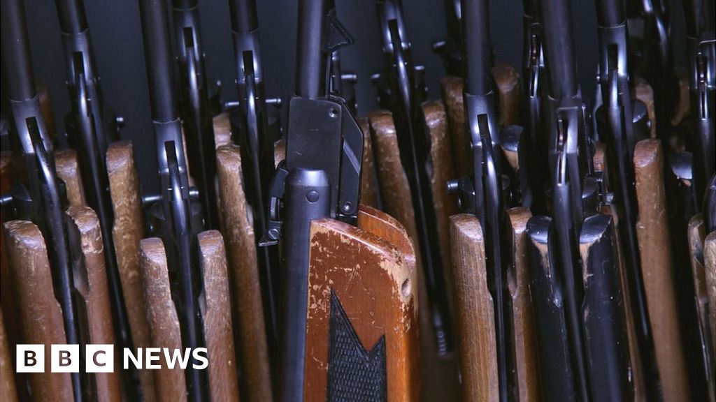 Police Scotland 'prepared' for airgun licensing workload - BBC News