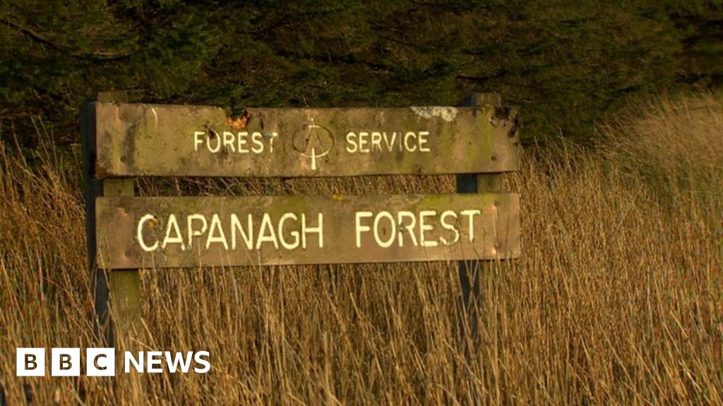 Capanagh Forest: 'Terrorist hide' found in woods near Larne - BBC News