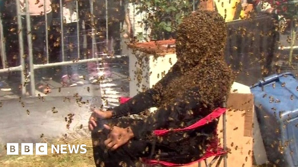 How long could you sit covered in bees? - BBC News
