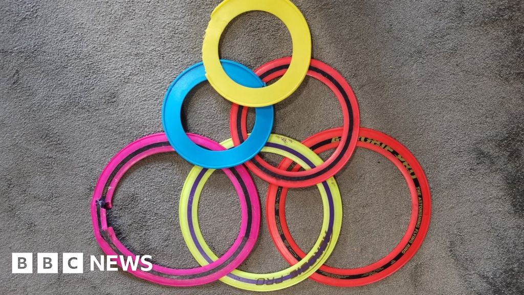 UK beachgoers warned: 'Flying rings kill seals'