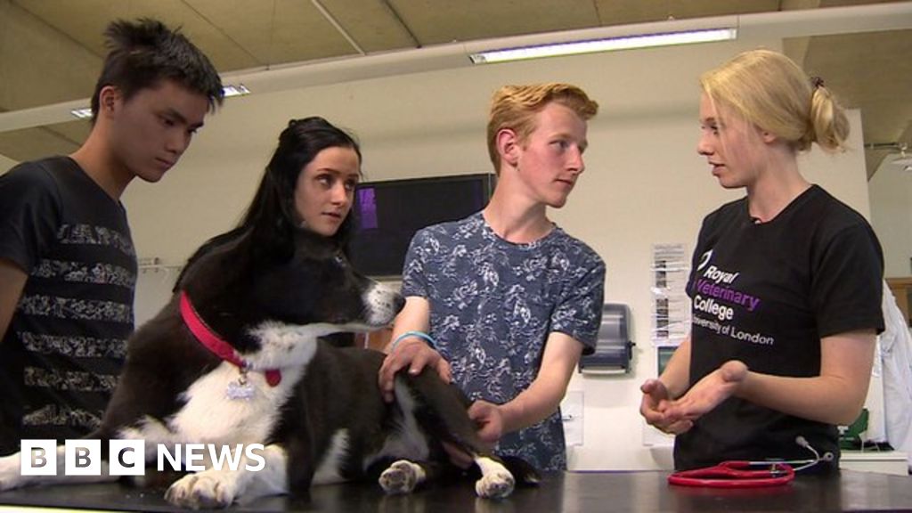 Poor students face high university debt, report says - BBC News