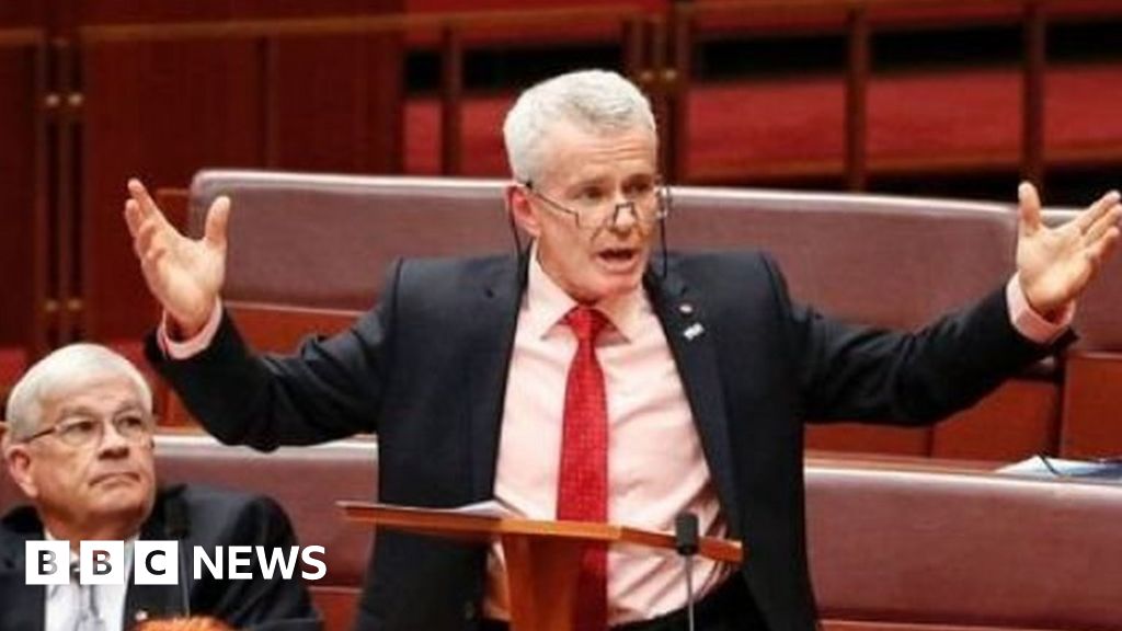Malcolm Roberts: Australian senator wants 'OzExit' from UN - BBC News