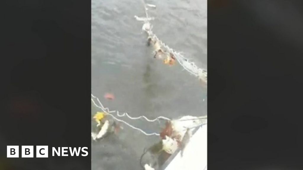 Illegal fishing net found strung across Thames in Teddington - BBC News