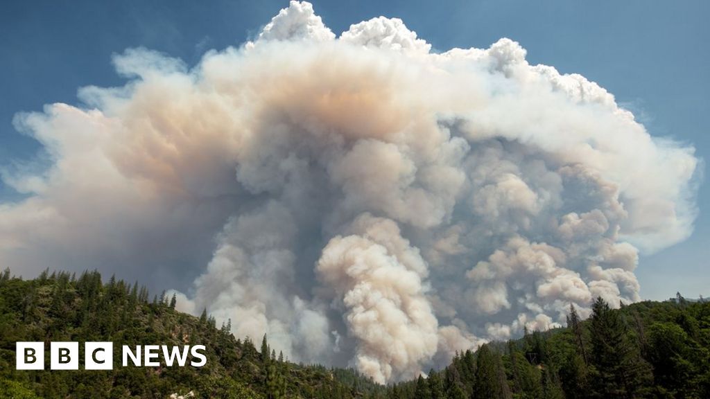 Australia fires: How extreme 'firestorms' make their own weather - BBC News