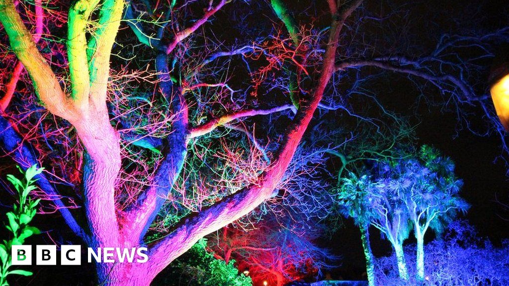 Event will 'shine a light' on Jersey park's trees
