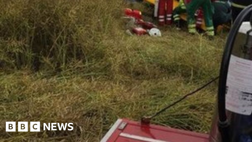 Pilot injured in West Tisted light aircraft crash - BBC News