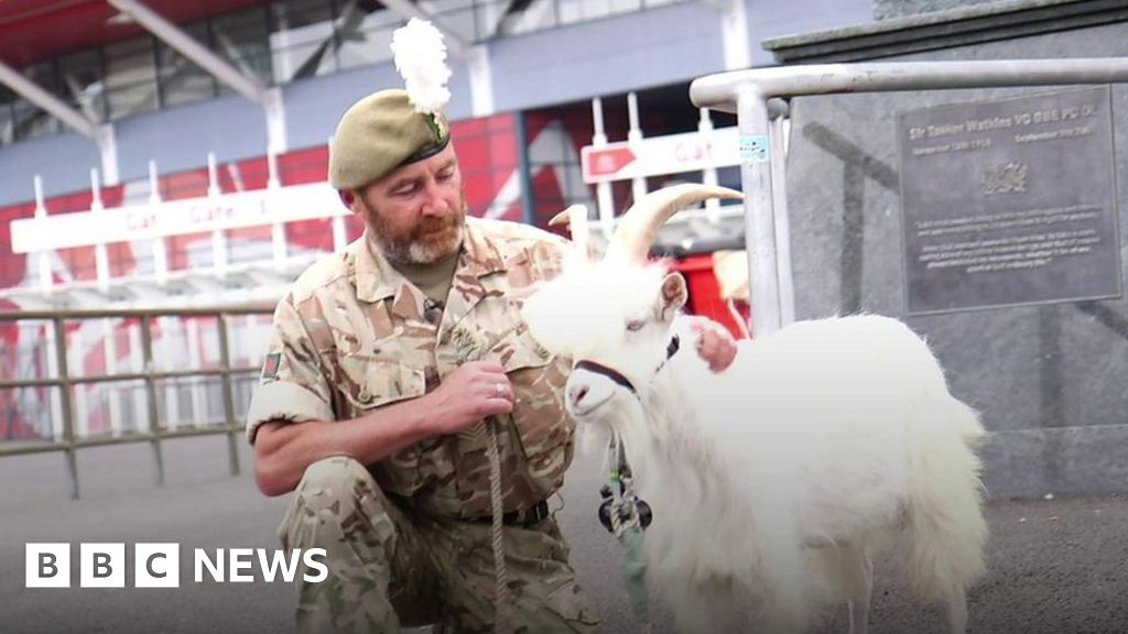 Royal Welsh regiment's goat Shenkin explores Cardiff