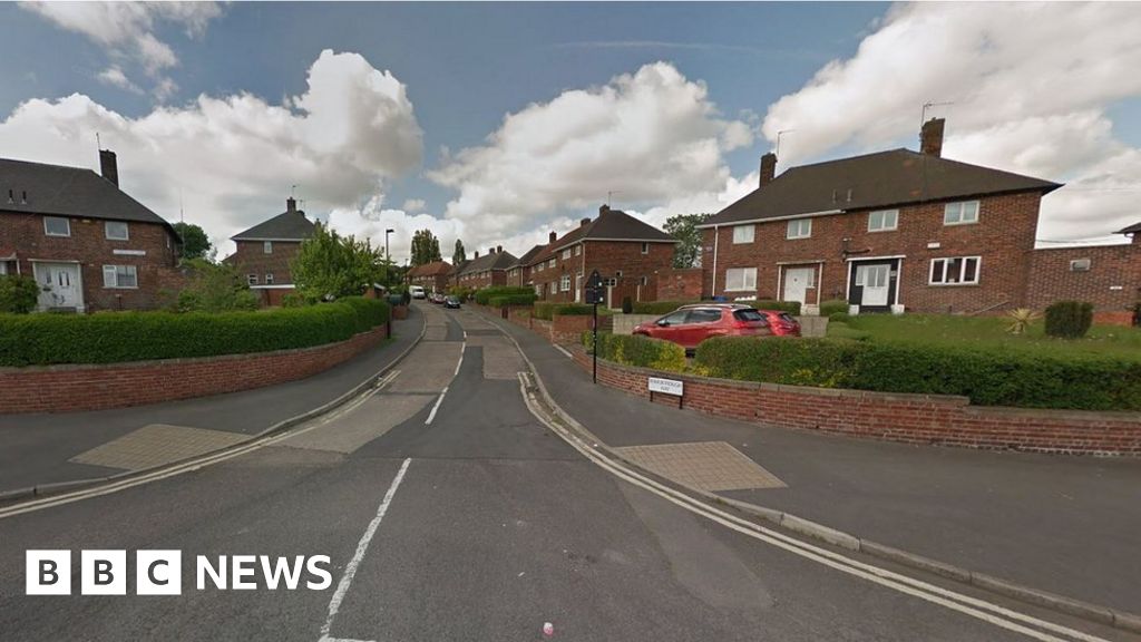 Sheffield: Girl, 15, and woman stabbed in domestic incident