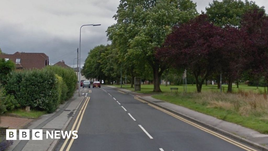 Boy, 11, bitten by two dogs in Bolton - BBC News