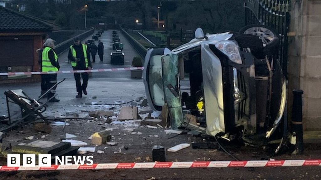 Cardiff's Roath Park gate crash driver 'lucky to be alive' - BBC News