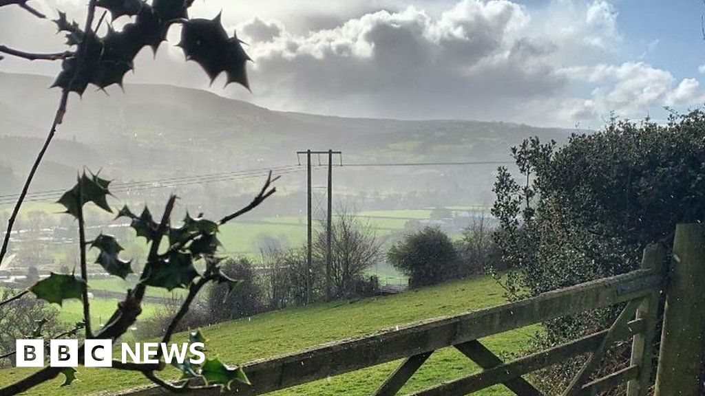 Hospital Covid team plant trees to fight climate change