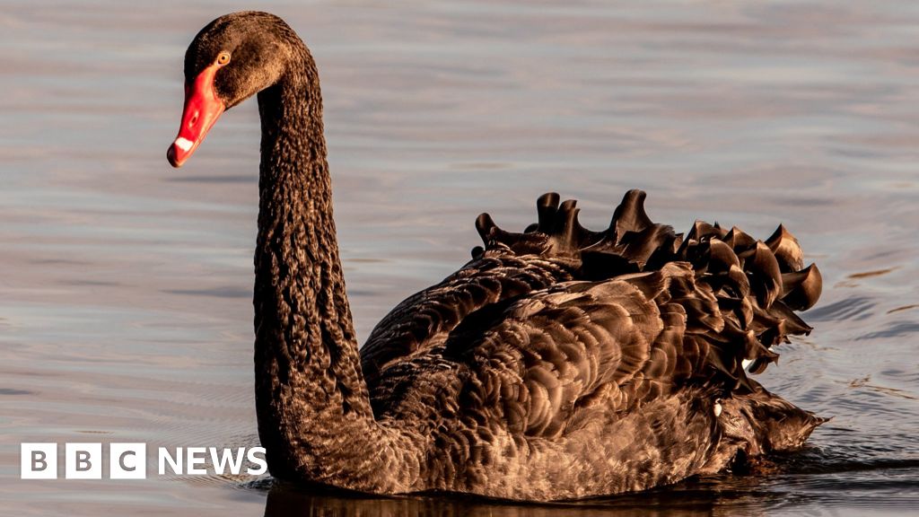 Oxfordshire's Big Picture