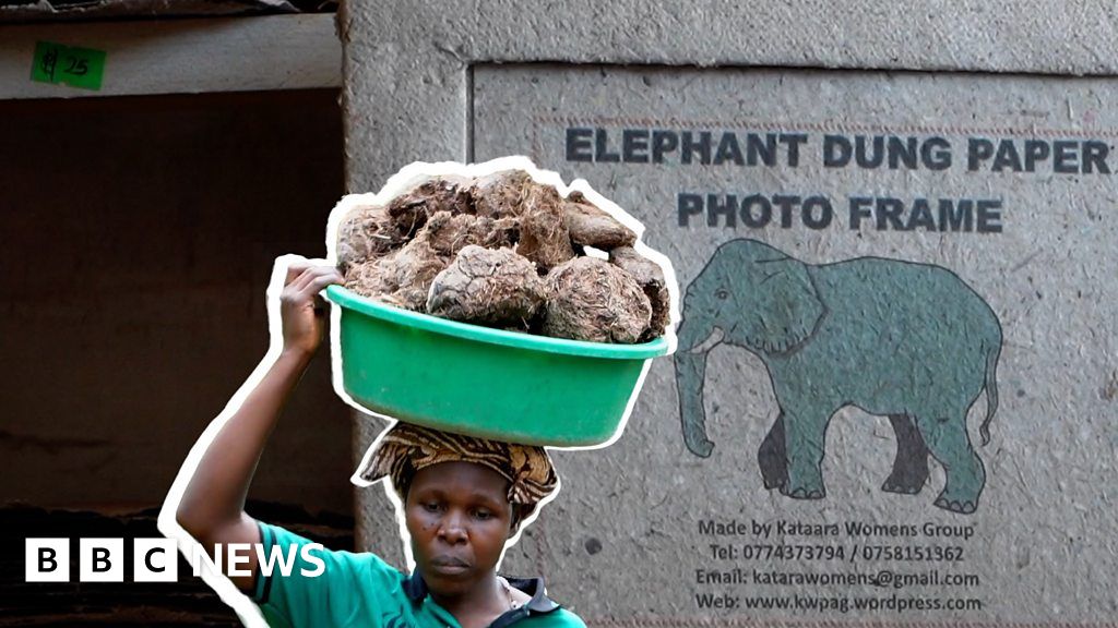 The Ugandan women turning elephant dung to household items - BBC News