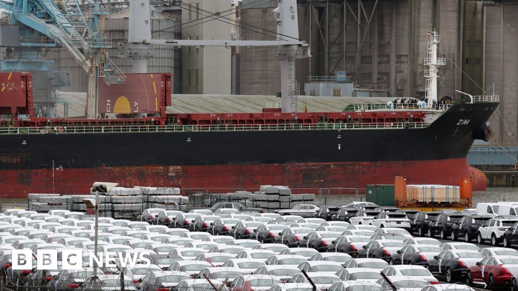 'Economists for Brexit' back campaign to leave EU - BBC News